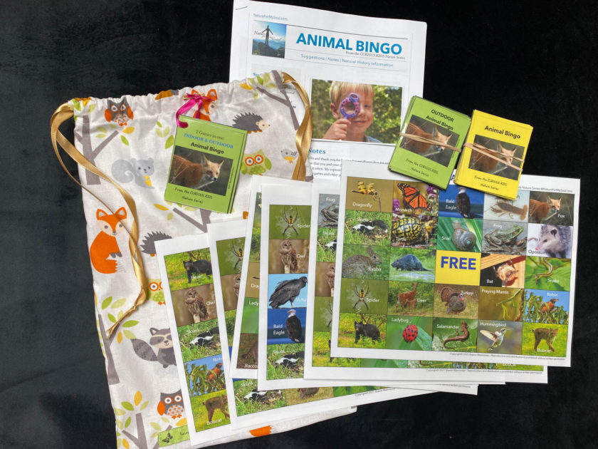 Curious Kids Nature Activities – Nature for my Soul